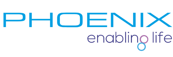 LDR 100 - Labour Delivery Recovery Bed - Phoenix Medical Systems