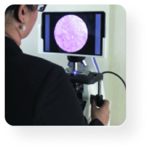 CILIKA Portable - Microscopes - MedPrime Technologies Pvt. Ltd. | Medzell