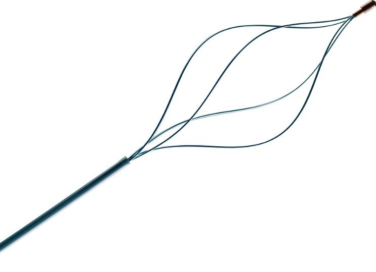 Stone Extraction Baskets - All Medical Devices Manufacturers | Medzell ...