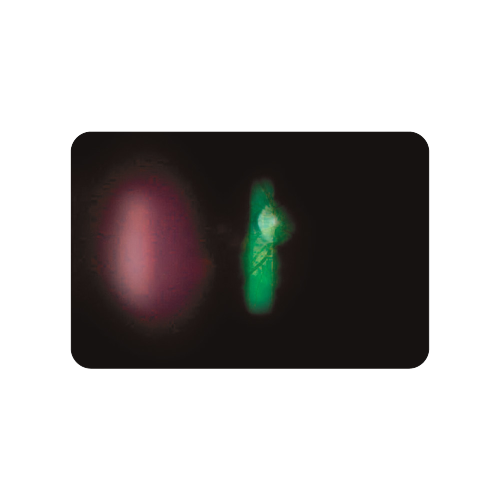 Opticlear 90D Aspheric Lens - Madhu Instruments Pvt. Ltd. | Medzell