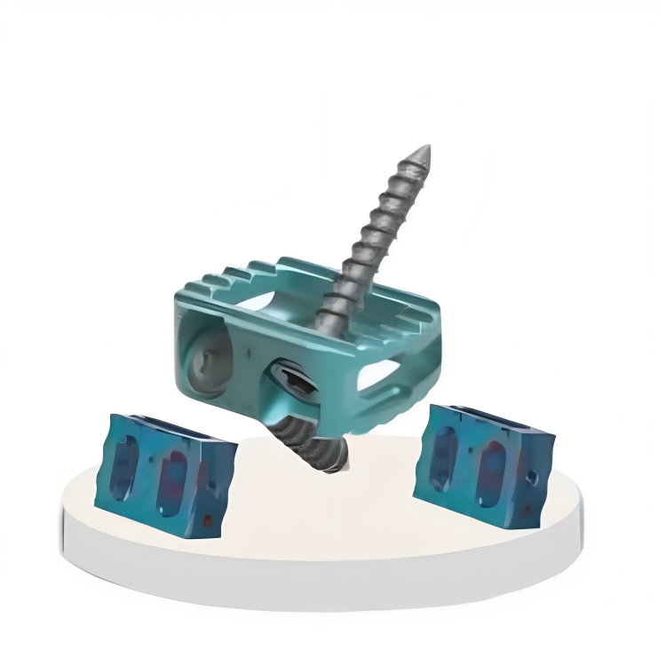 Anterior Cervical Cage (Square Type) Implant | BIOMED HEALTHTECH