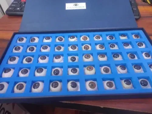 ASF Artificial Eye - A.S.F. Universal | Medzell