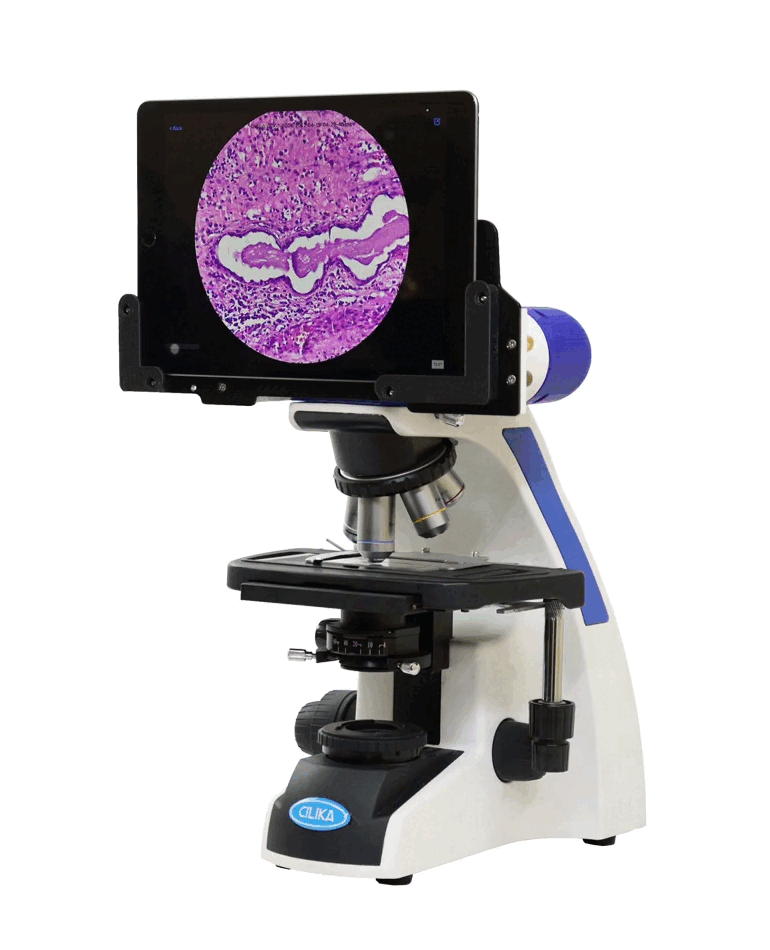 CILIKA Benchtop - Microscopes - MedPrime Technologies Pvt. Ltd. | Medzell
