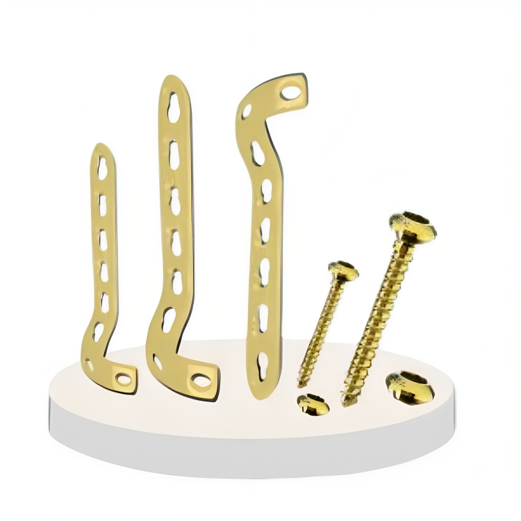 Buy Bio Fixation L Buttress Plate - BIOMED HEALTHTECH