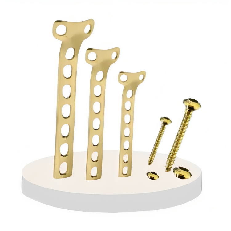 Buy T Buttress Bone Plate - BIOMED HEALTHTECH