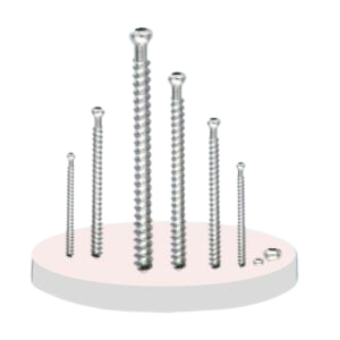 Cancellous Screw 4.0 - Bone Screws Stainless Steel | BIOMED HEALTHTECH ...