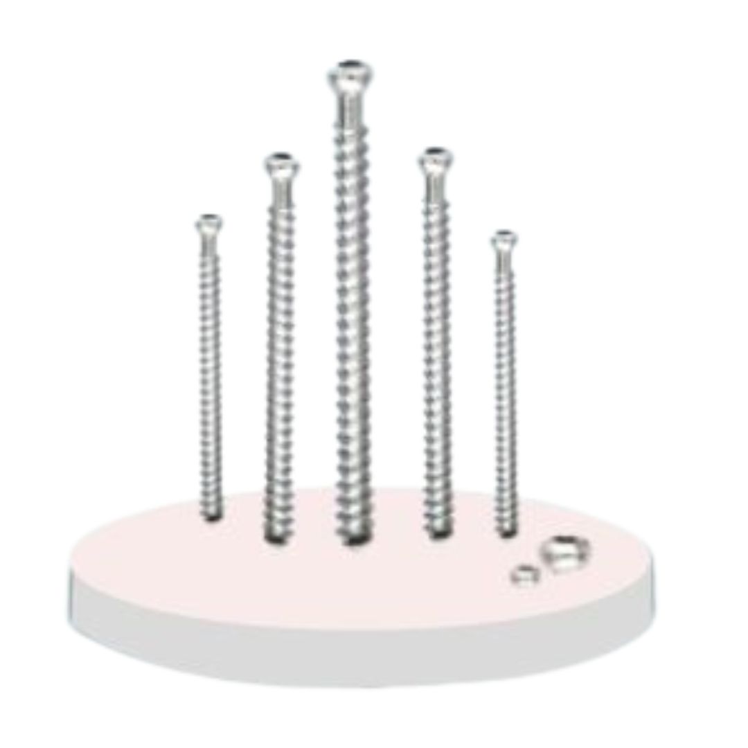 Cancellous Screws 6.5 - Bone Screw Stainless Steel | BIOMED HEALTHTECH ...