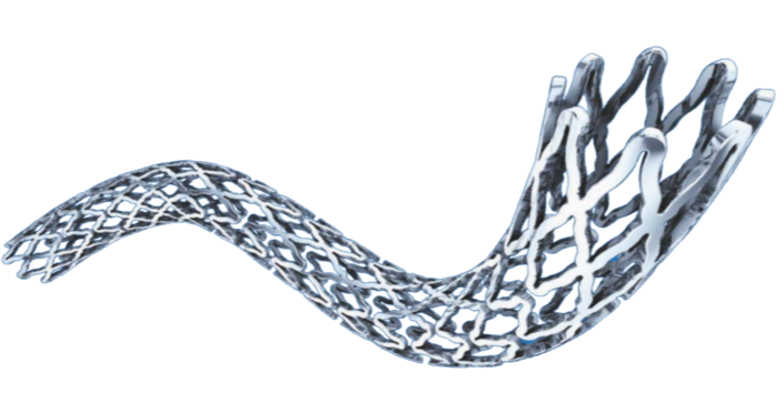 Koronar Sirolimus Eluting Stent System - Newtech Medical Devices