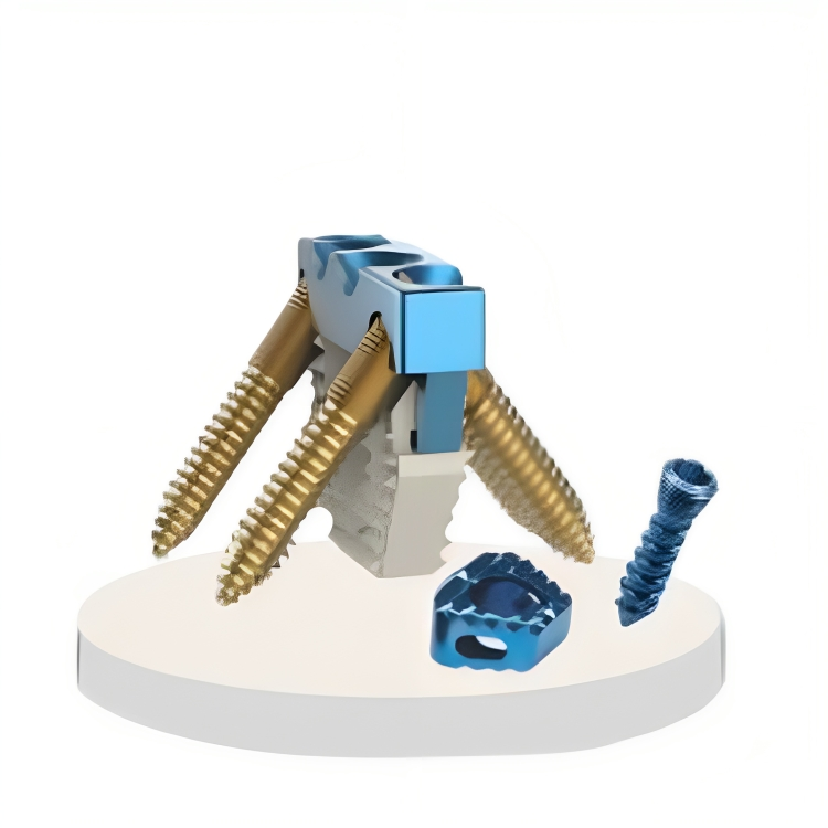 Buy Cervical Cage Octa - BIOMED HEALTHTECH PVT LTD