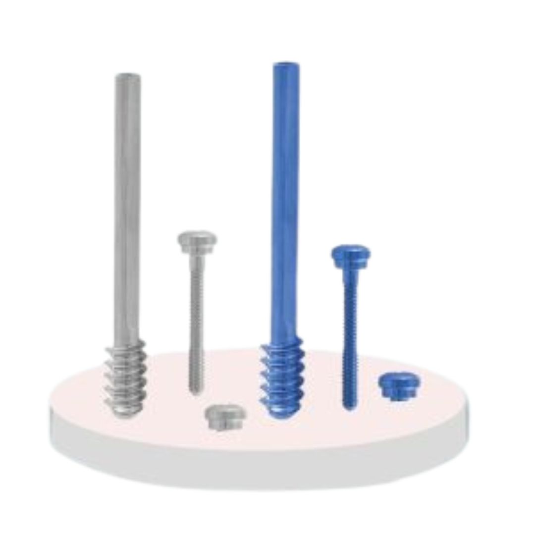 Buy Bone Screw Stainless - BIOMED HEALTHTECH PVT LTD
