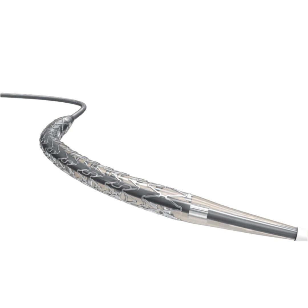 Eternia Nexa Coronary Drug Eluting Stents | Innvolution Healthcare
