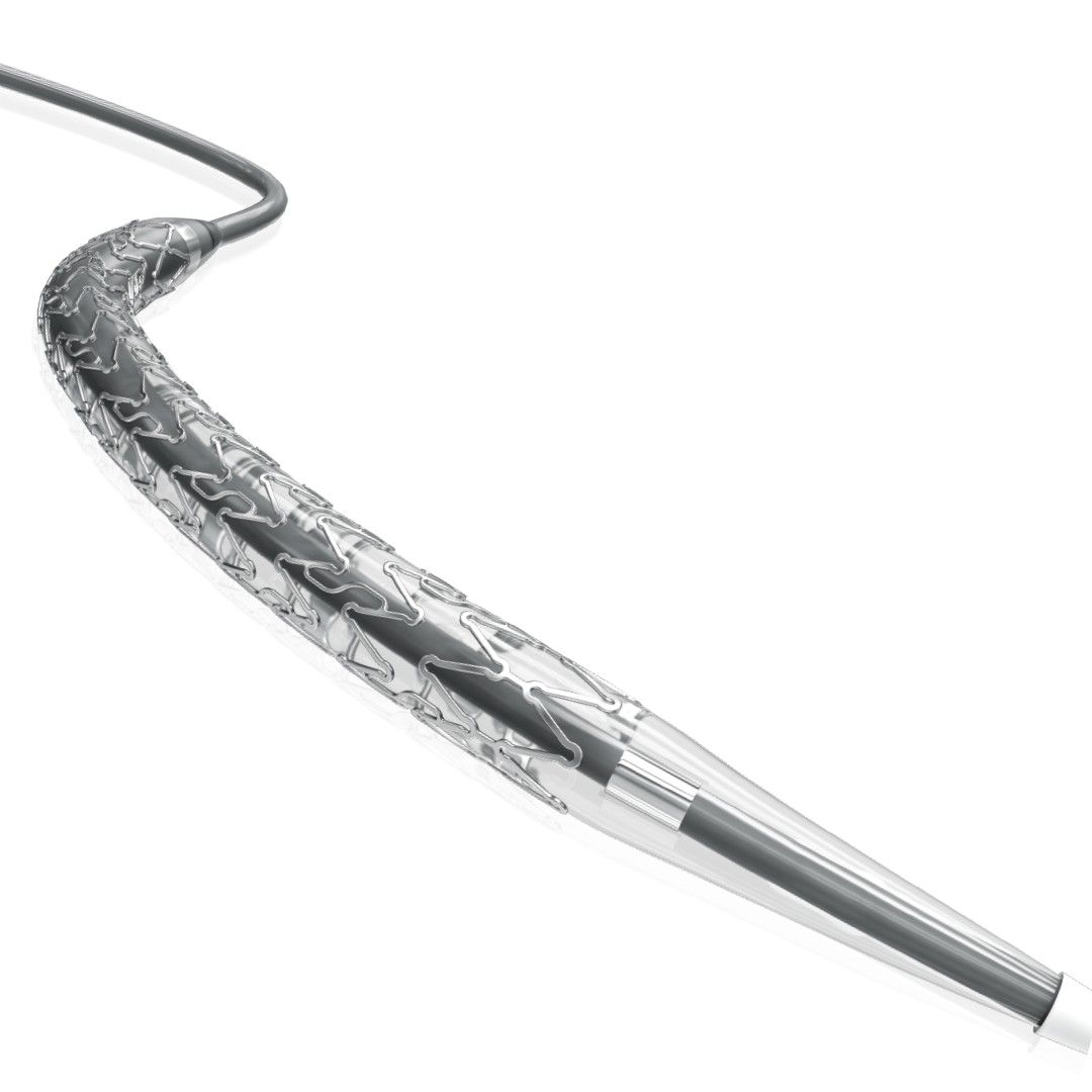 Eternia Select Coronary Drug Eluting Stents - Innvolution Healthcare