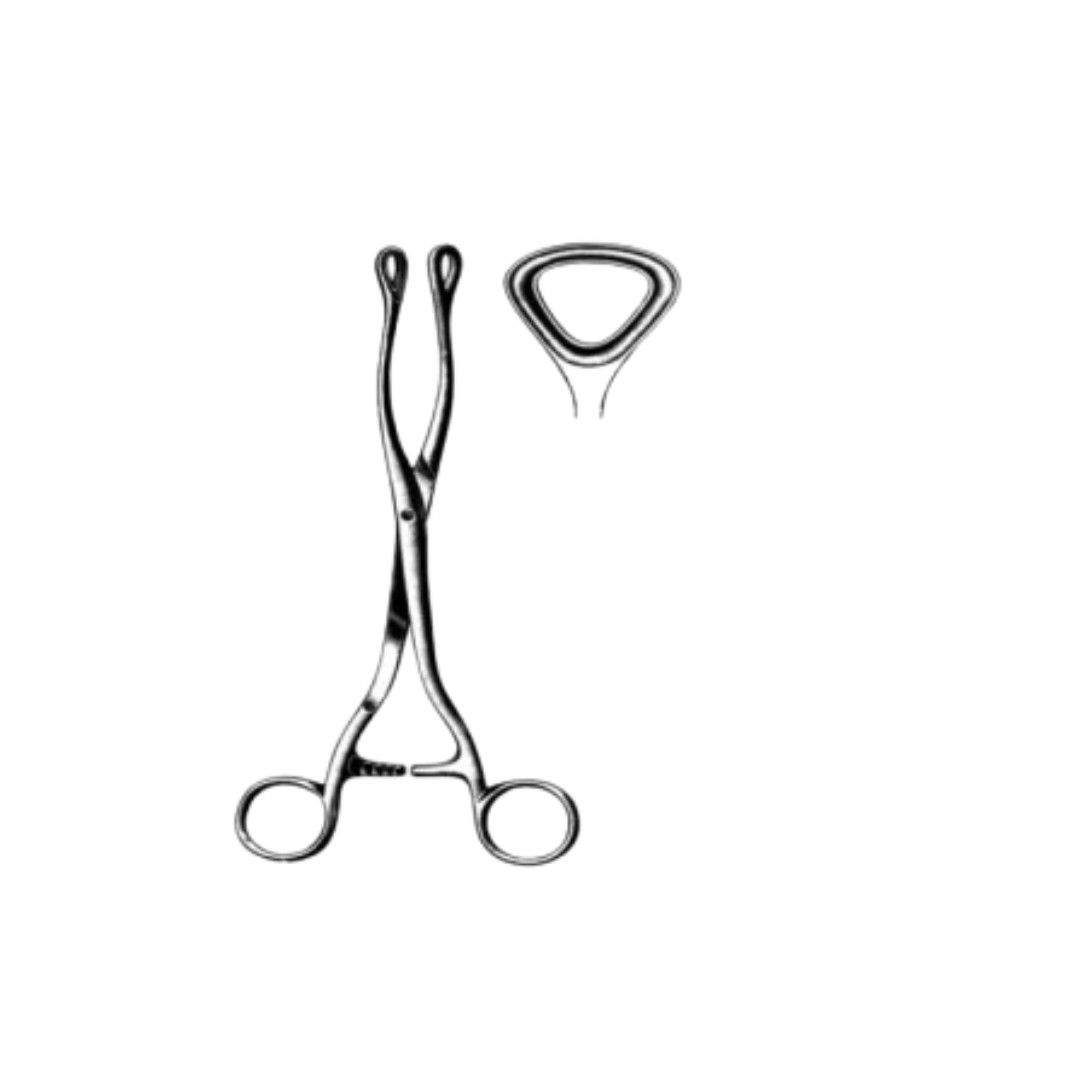 Buy Leur Pile Holding Forcep Online - Golden (India) Surgicals