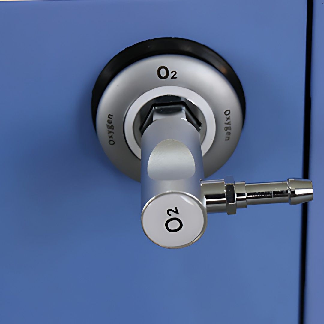 LONGFIAN JAY-20A Oxygen Concentrator with Air Vacuum | Longfian Scitech ...