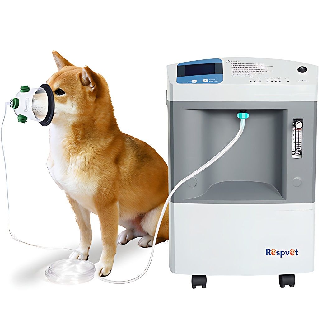Longfian JAY-5KW Veterinary Oxygen Concentrator | Buy Now