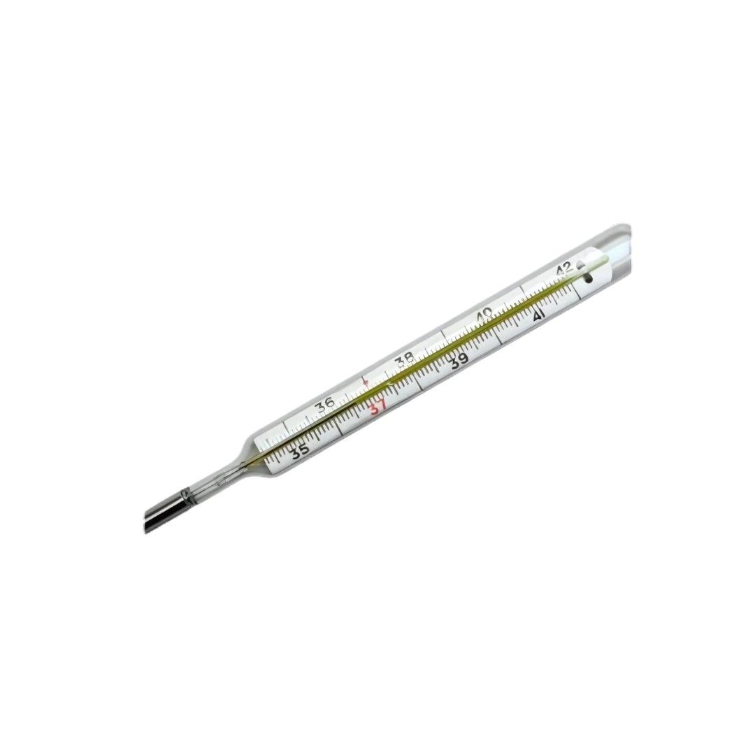 anskriti Udyog Mercury Thermometer - Precision Mercury Thermometer ...
