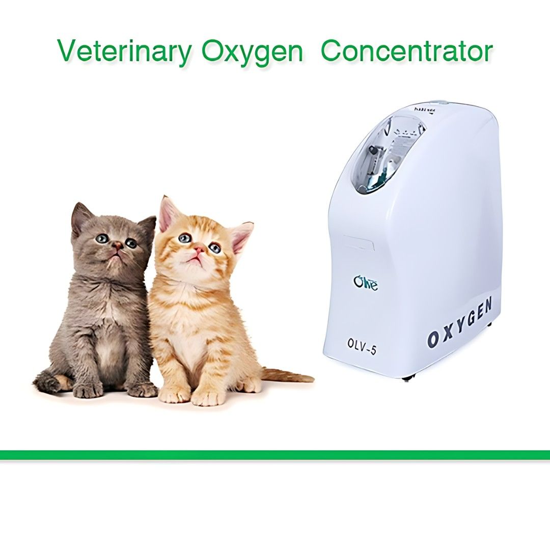 OLV-5 Cat Oxygen Concentrator | High-Purity Device for Cats
