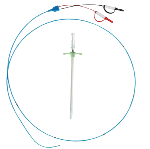 ClearLead - Pacing Lead by Newtech Medical Devices Pvt Ltd