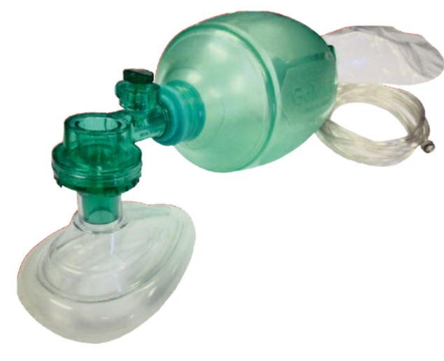 Resuscitation Bag - Resuscitator by Cruzine Healthcare Private Limited