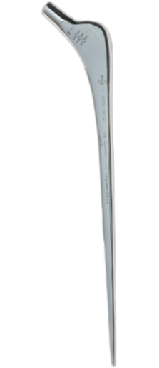 V Stem Long - Hip Replacement Implants - RCH Orthopaedics | Medzell
