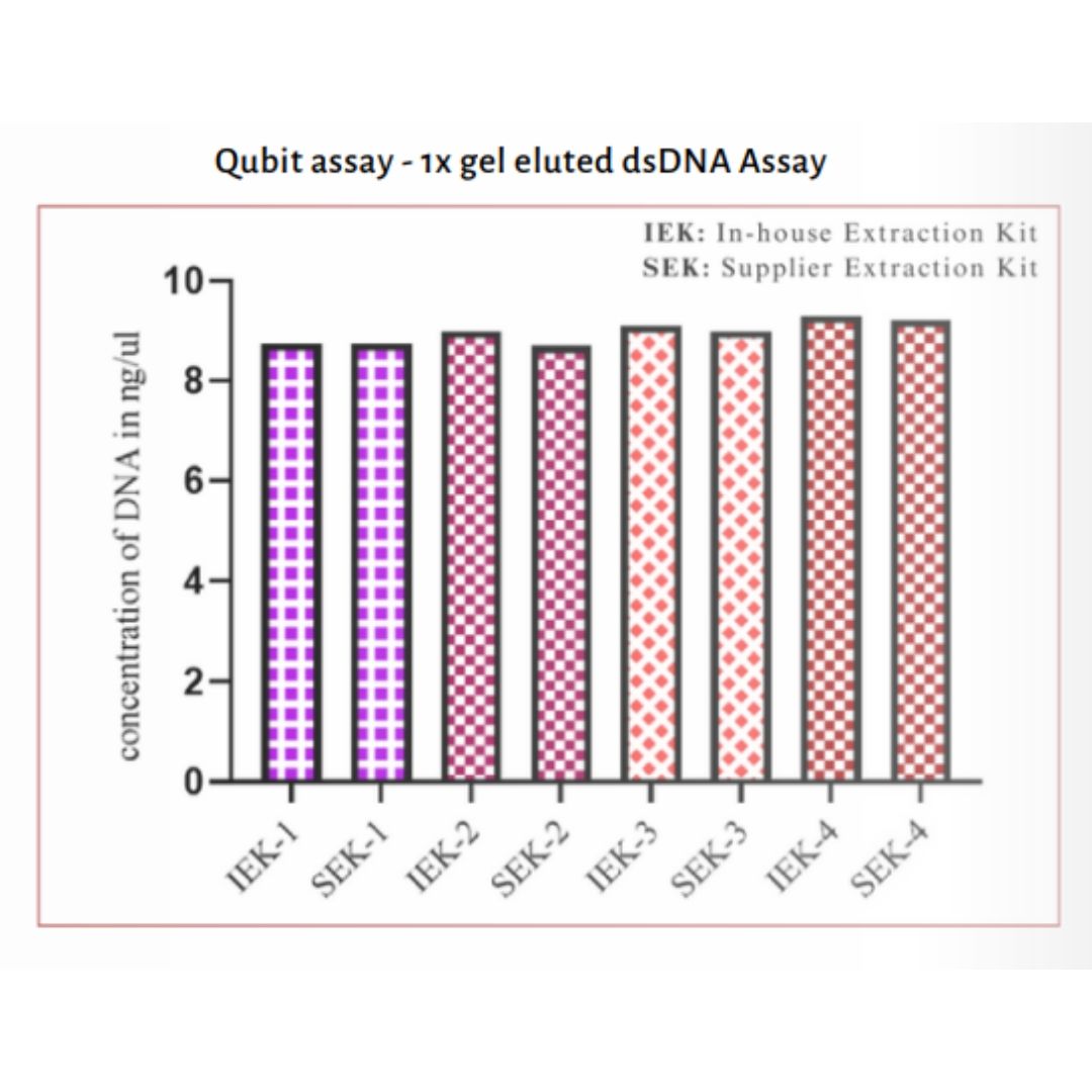 SpinTech HiQ™ Gel Extraction Kit - Gel Extraction Kit | Techinvention ...