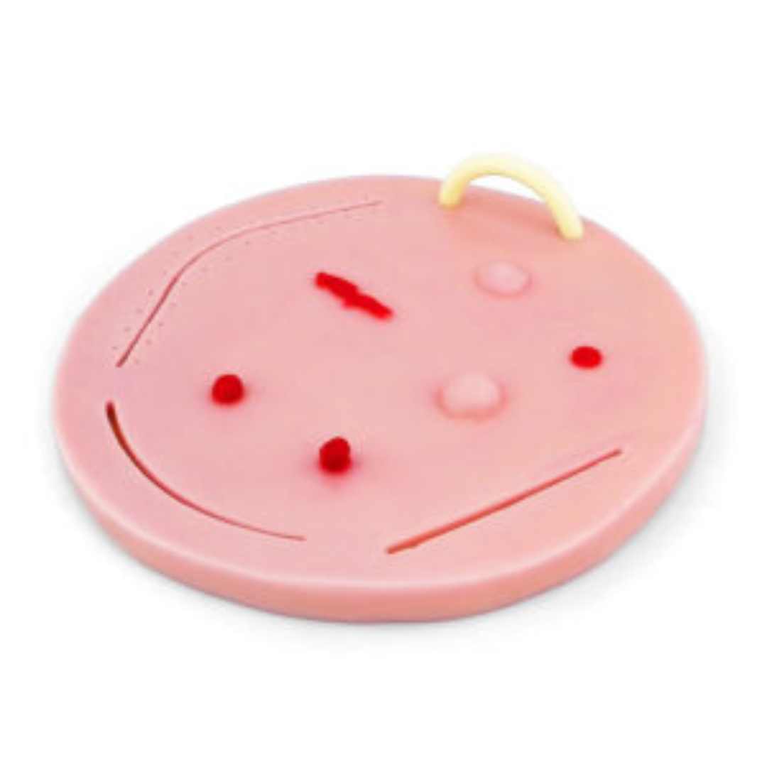 Pro Delphus Suture Disc Simulator - Suture Disc Simulator