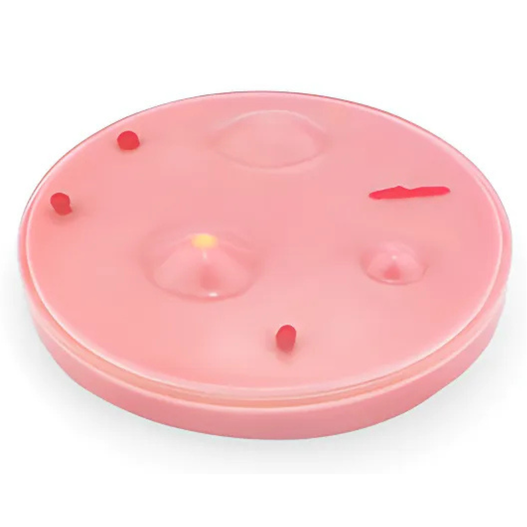 Pro Delphus Suture Disc Simulator - Suture Disc Simulator