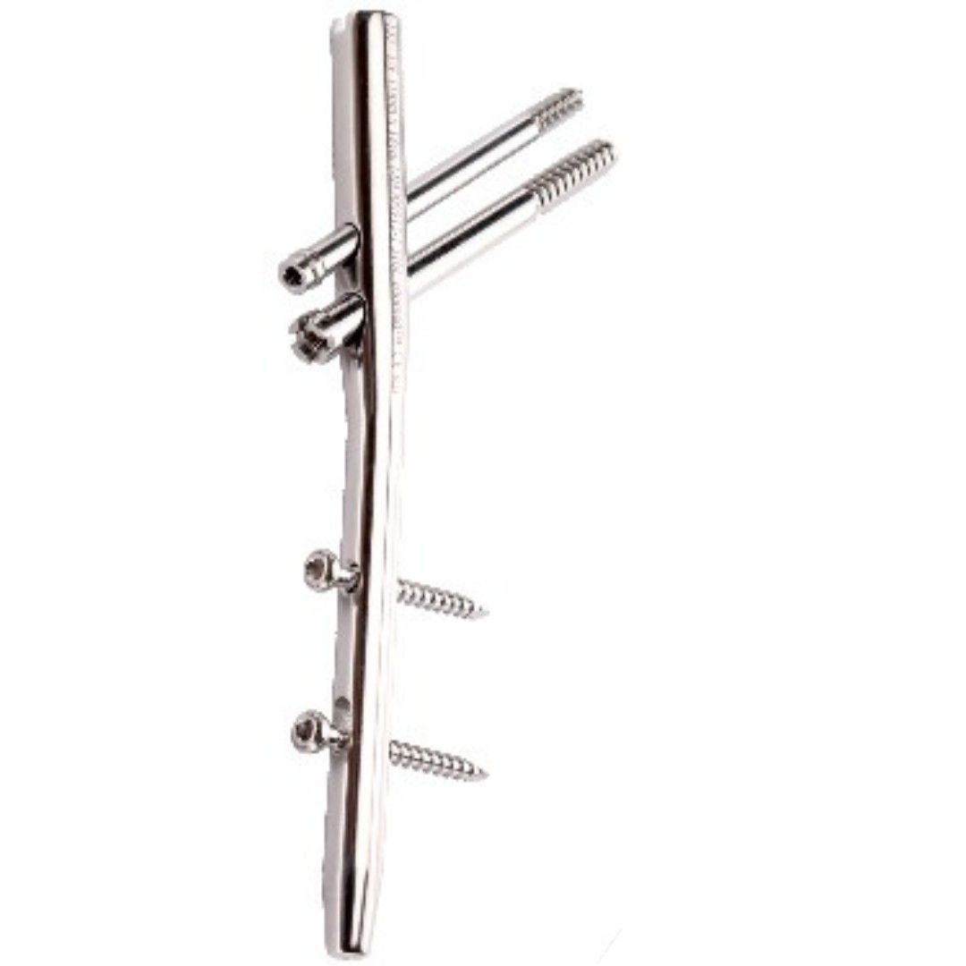 Buy Interlocking Trochanteric Femur Nail (TFN) Short | Biomed ...