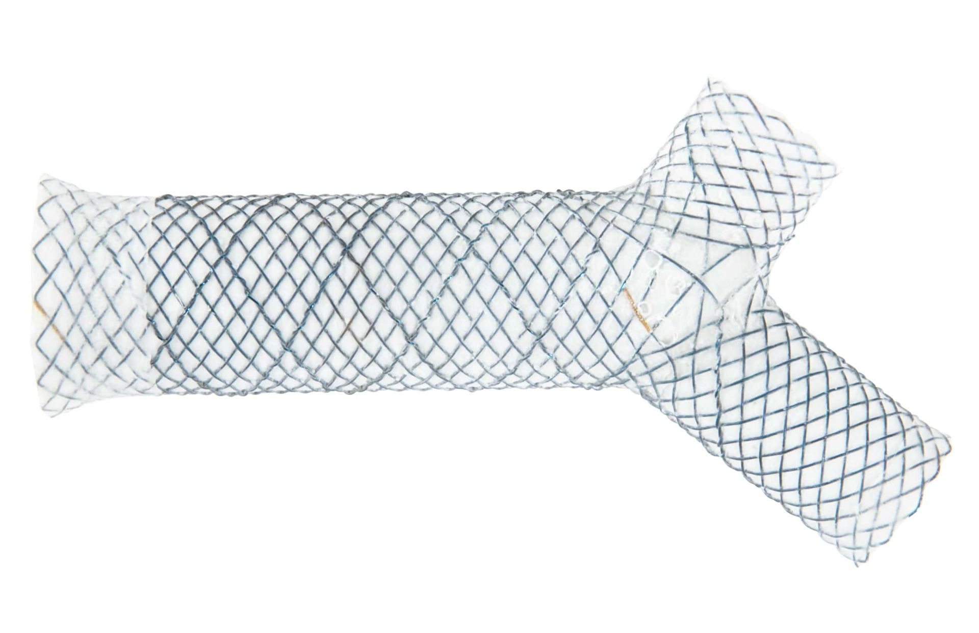 BRAVO Covered Tracheobronchial Y Stent - Mitra Industries Private ...