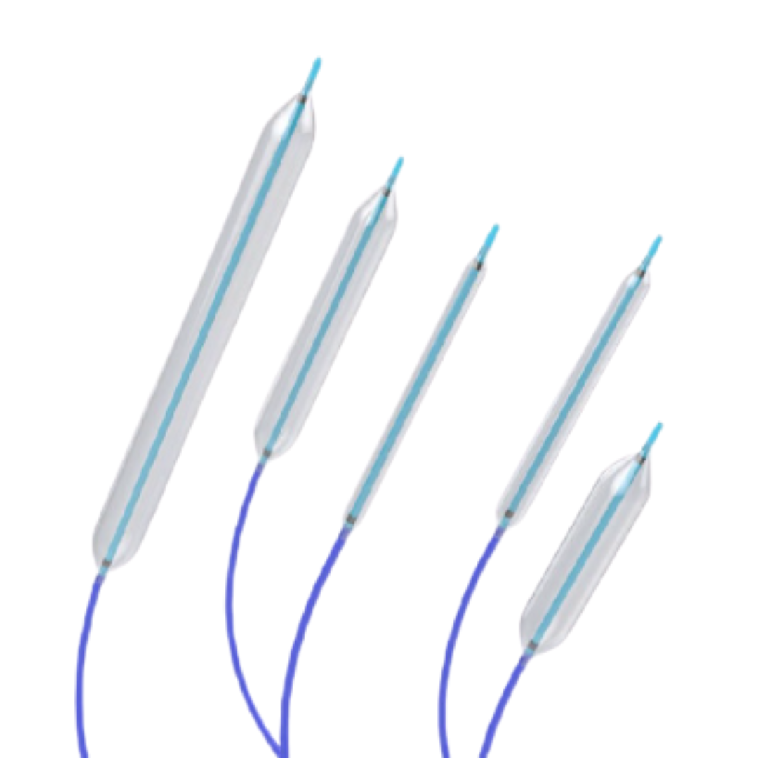 Ureteral Dilation Balloon Kit - Hunan Endovascular Devices