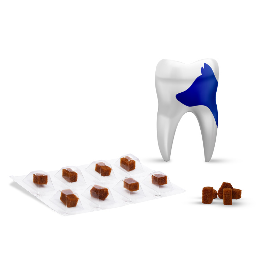 HAEMOVET® Veterinary Sponges - Aegis Lifesciences Pvt. Ltd.